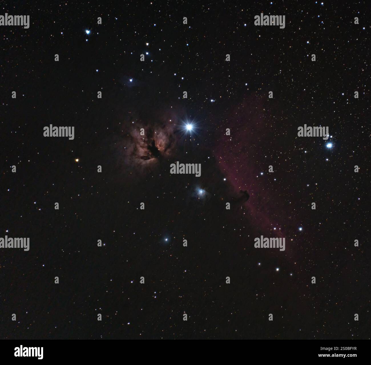 Horsehead and Flame nebulae seen from the Northern Hemisphere in the night sky Stock Photo - Alamy