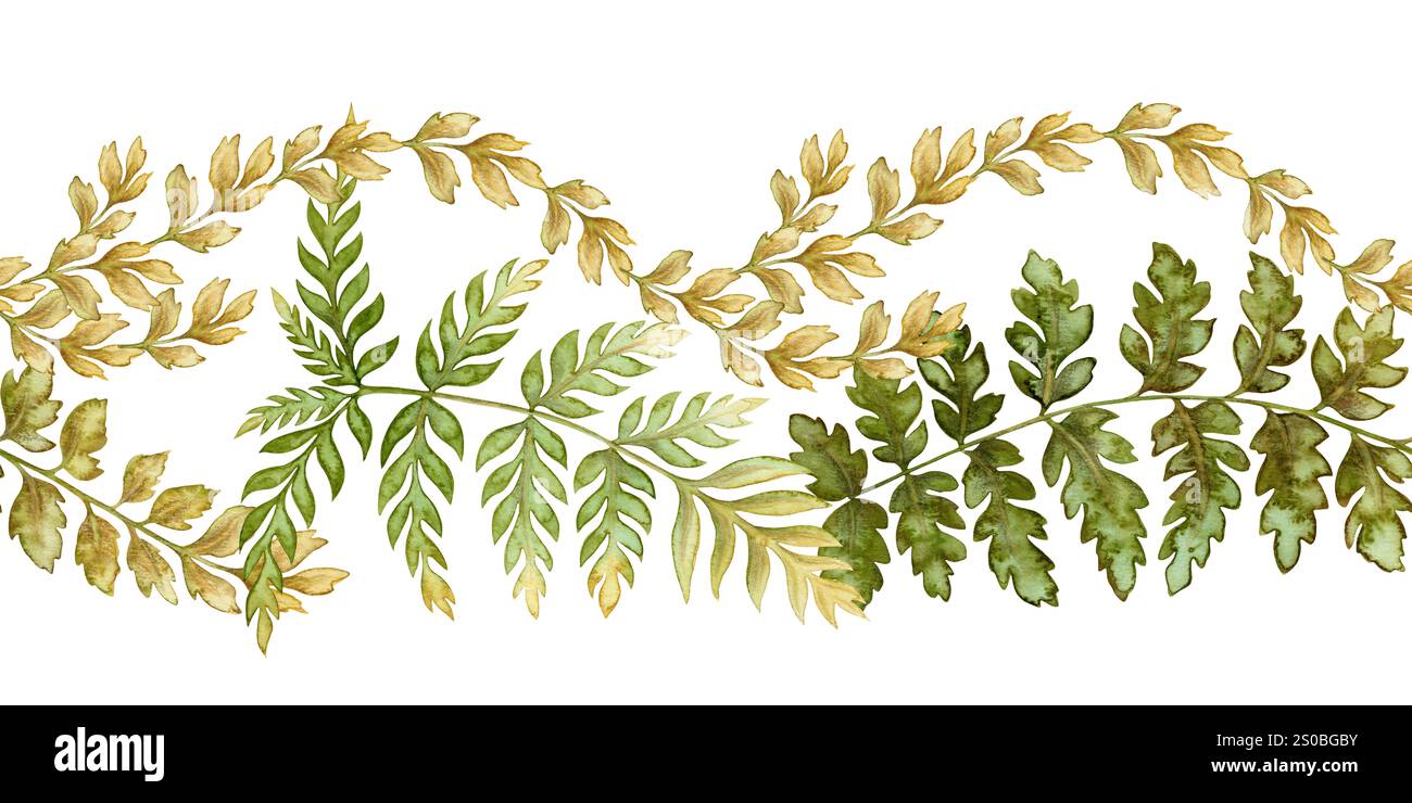 Fern leaf elegant seamless border in the earth green tone. Hand drawn ...