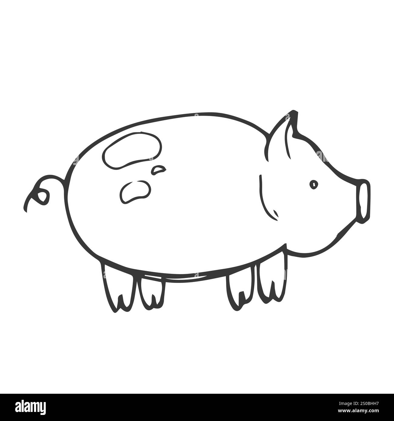 Hand drawn farm pig. Doodle sketch style. Drawing line simple pig icon ...