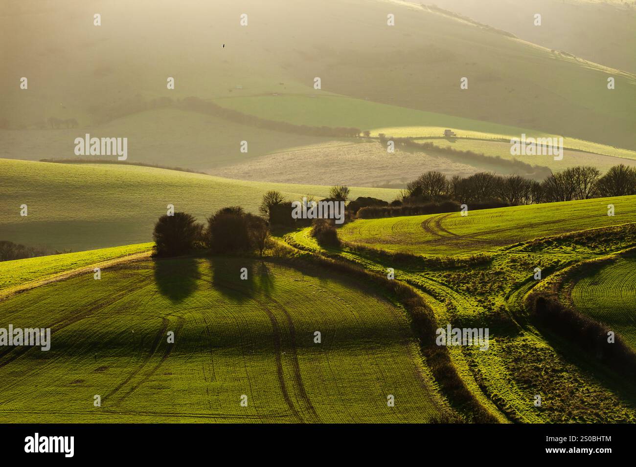 Winter afternoon on the South Downs near Lewes, East Sussex, England ...