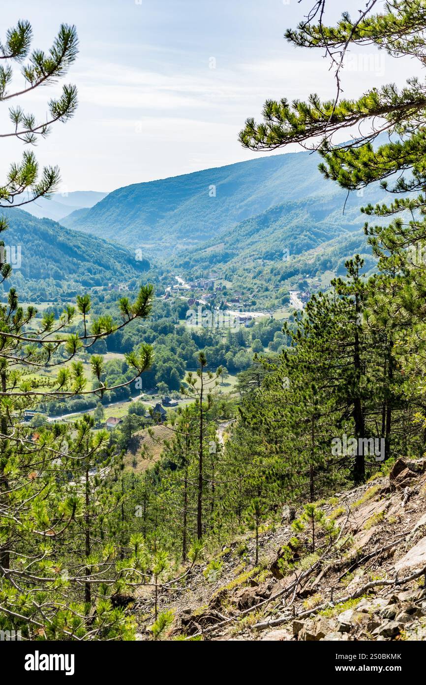 Mountains of Western Serbia, the Balkans, Europe, scenery vertical ...
