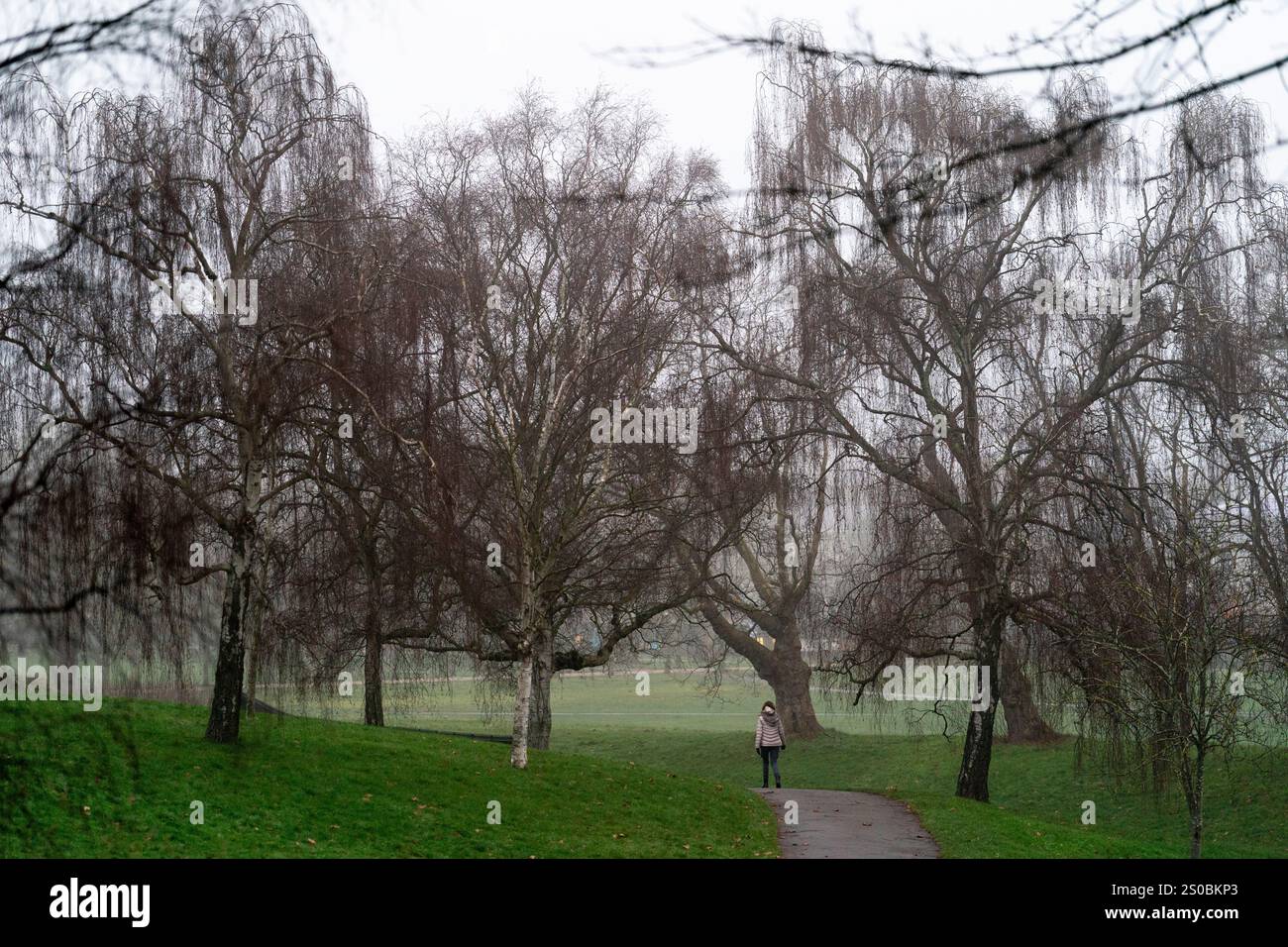 Foggy weather in Greenwich Park in London. The UK will have dull and ...