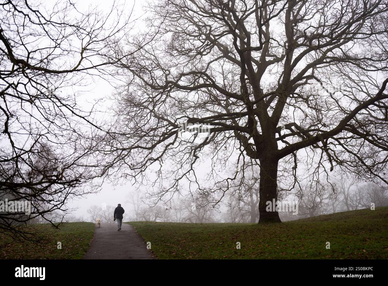 Dog walkers in foggy weather in Greenwich Park in London. The UK will ...