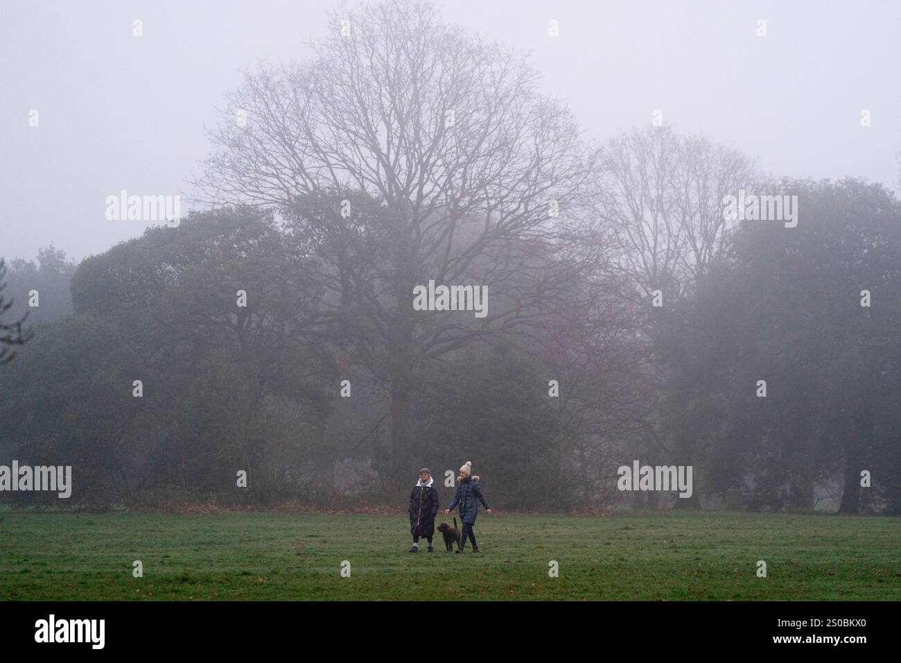 Dog walkers in foggy weather in Greenwich Park in London. The UK will ...