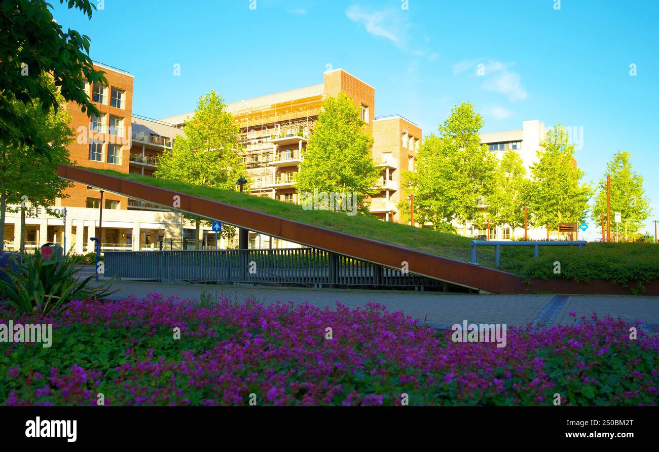 Green rooftop garden with a slope, sloping green roof. Daktuin, groen ...