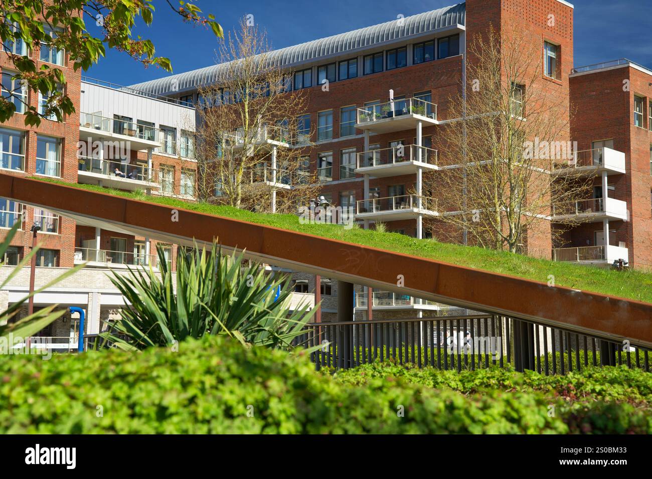 Green rooftop garden with a slope, sloping green roof. Daktuin, groen ...