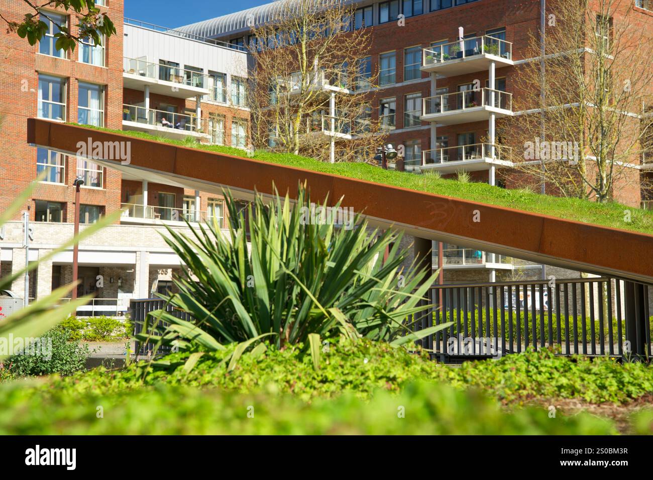 Green rooftop garden with a slope, sloping green roof. Daktuin, groen ...