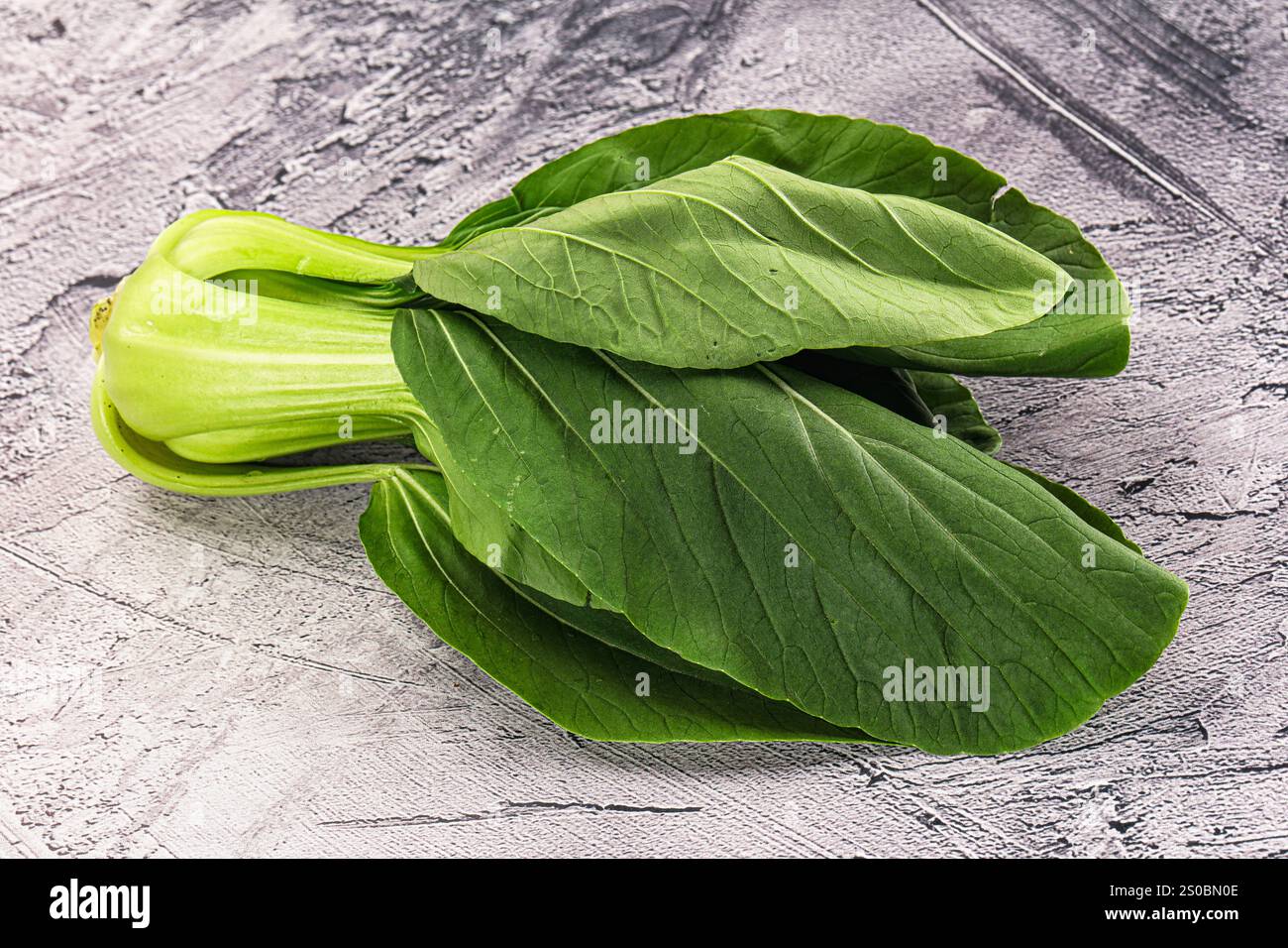 Raw asian Pak Choy salad cabbage Stock Photo - Alamy