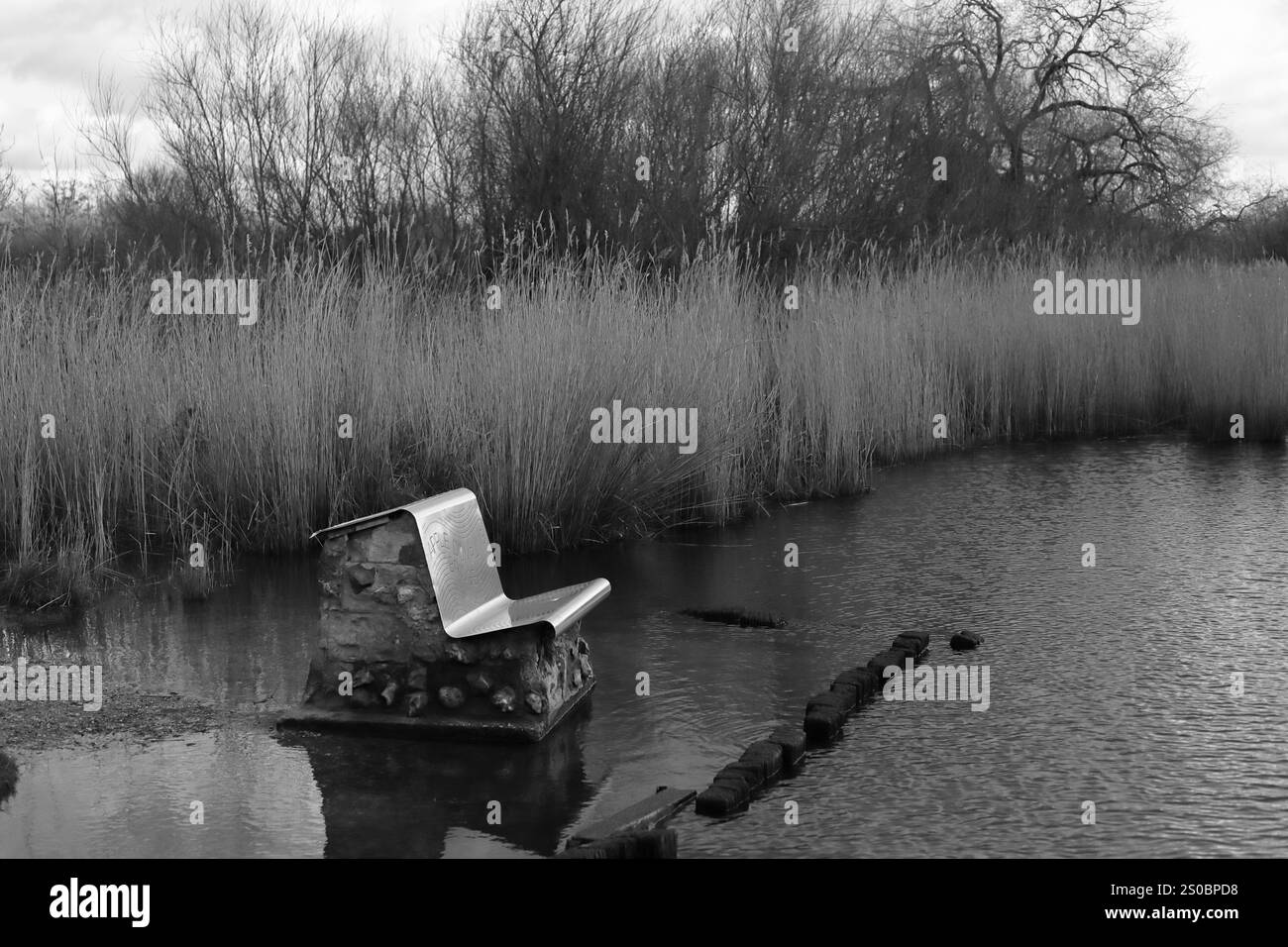 Wildgrounds Nature Reserve, 19 December 2024. Grayscale landscape ...