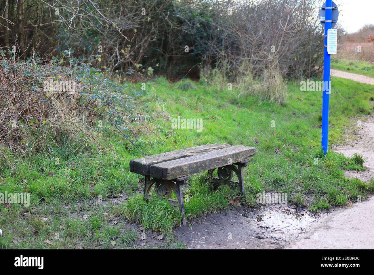 Wildgrounds Nature Reserve, 19 December 2024. An old bench on a grass ...