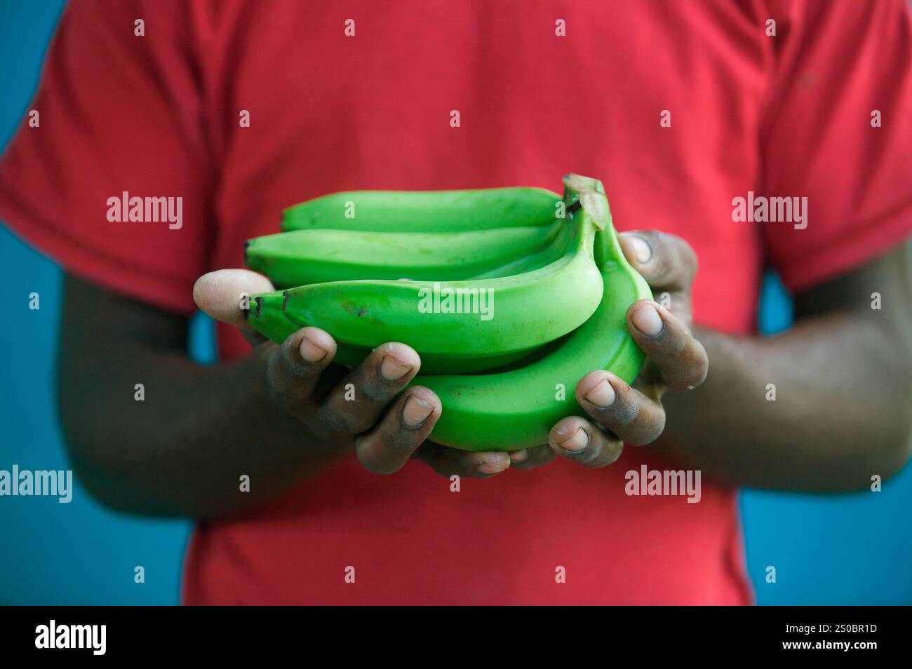 A man holding green bananas in his hands Stock Photo - Alamy