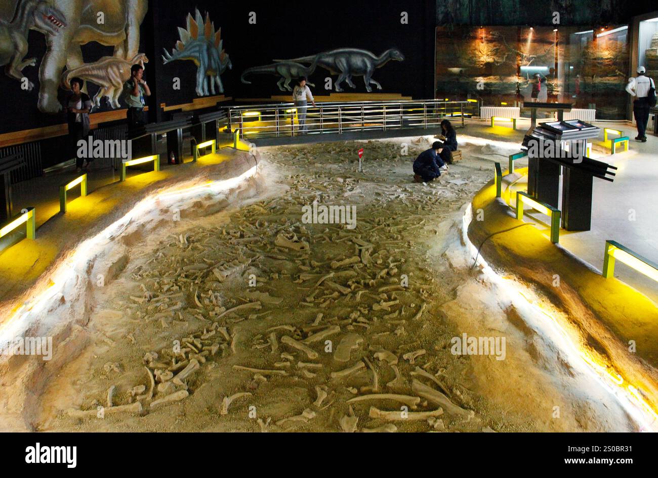 The Dinosaus Museum in Erlian, China. The area around the town ...