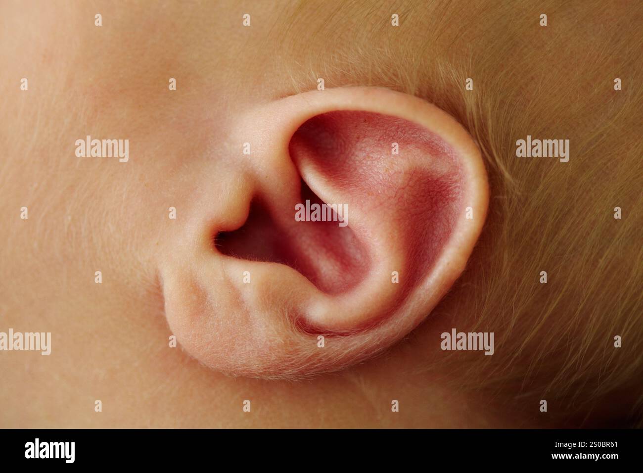 Detail of a new born baby ear Stock Photo - Alamy
