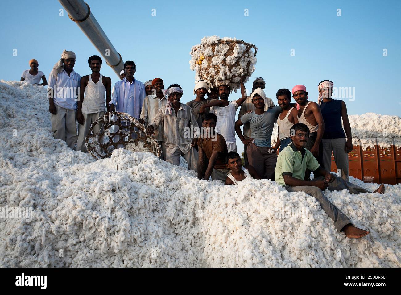Cotton workers on a mountain of cotton Stock Photo - Alamy