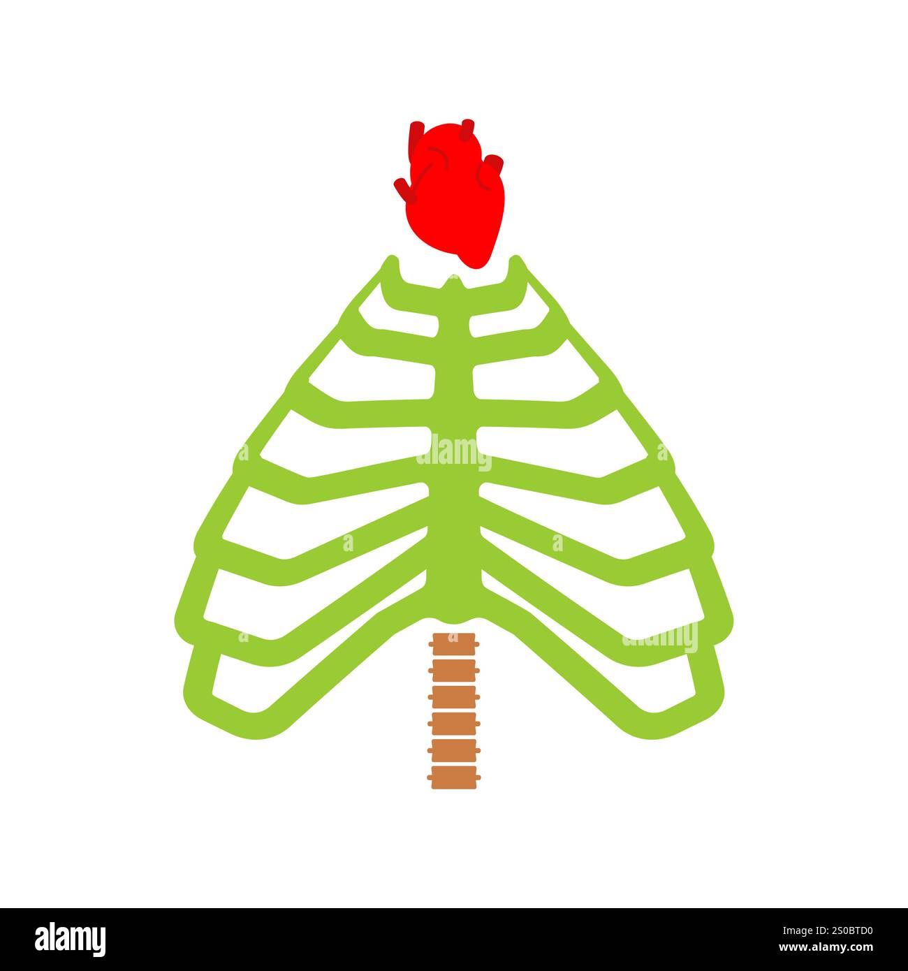 Christmas tree skeleton ribcage. Anatomical new year: bones and skull ...