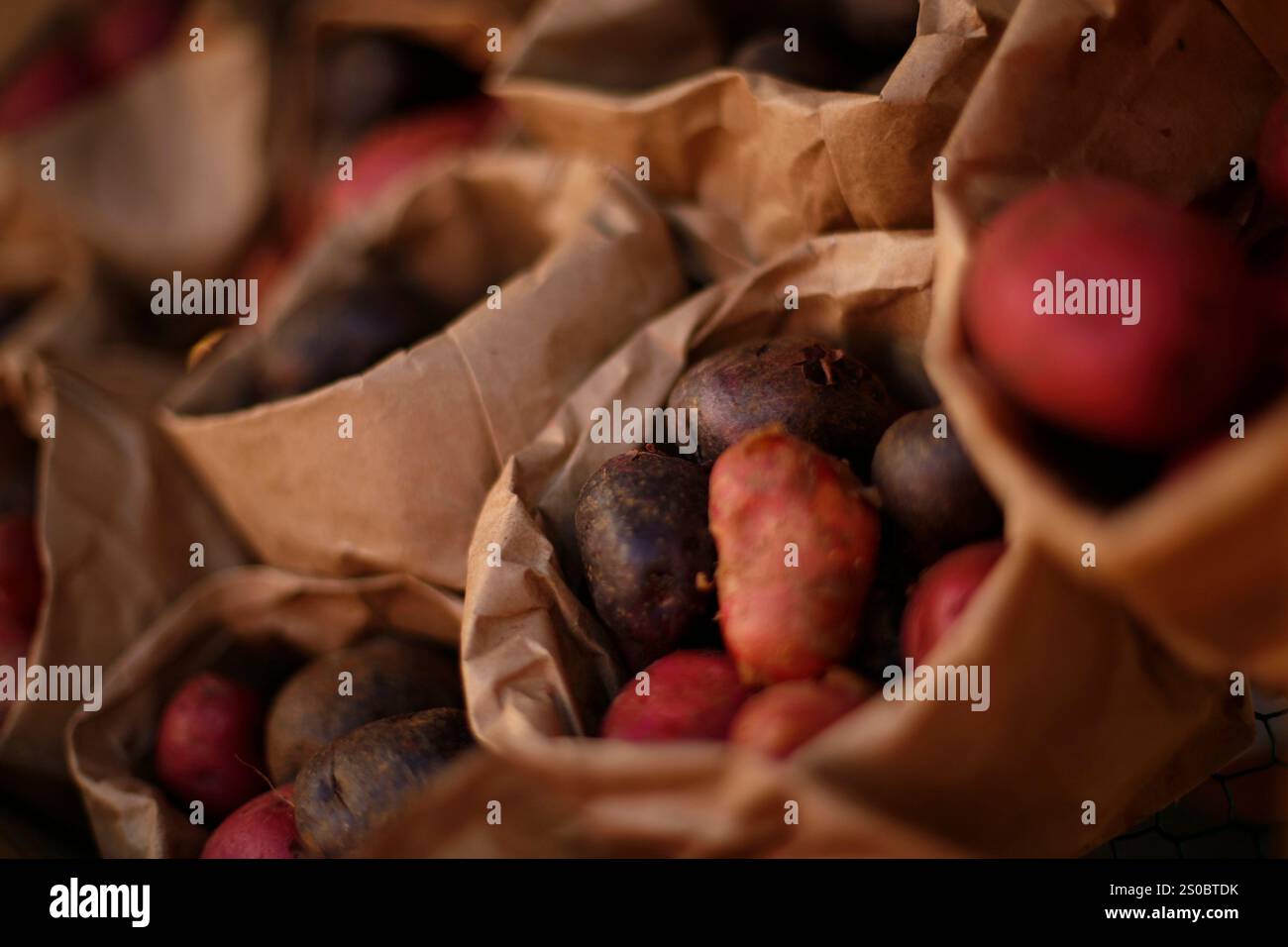 French fingerling potatoes Stock Photo - Alamy