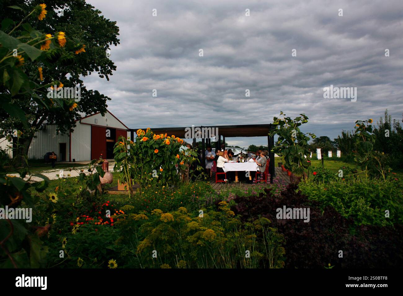 Large group eating outdoors at a rural farm Stock Photo - Alamy