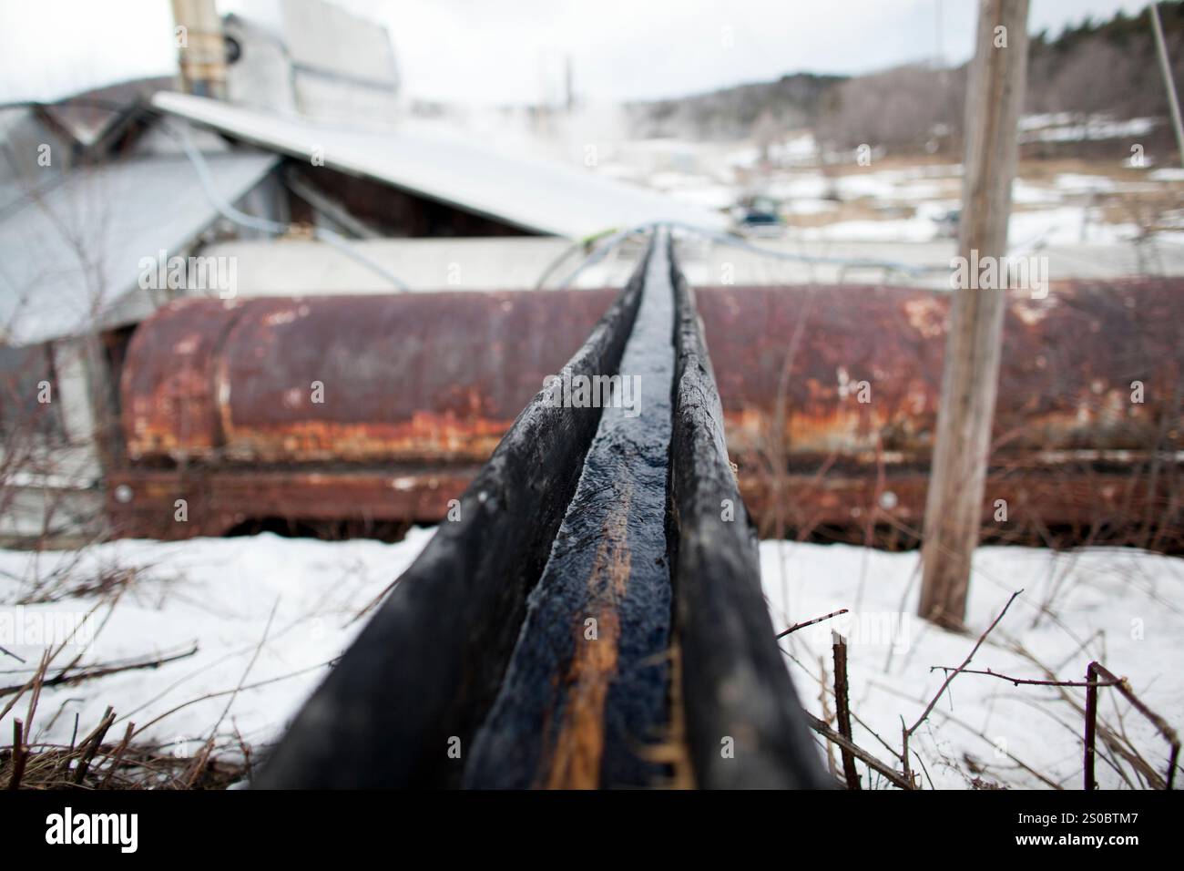Sap flowing in pipe Stock Photo - Alamy