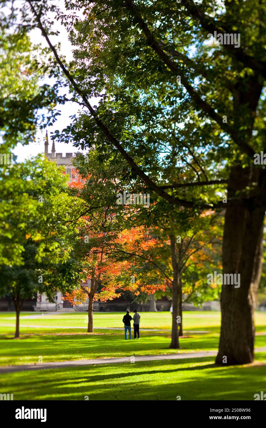 Bowdoin campus in the fall Stock Photo - Alamy
