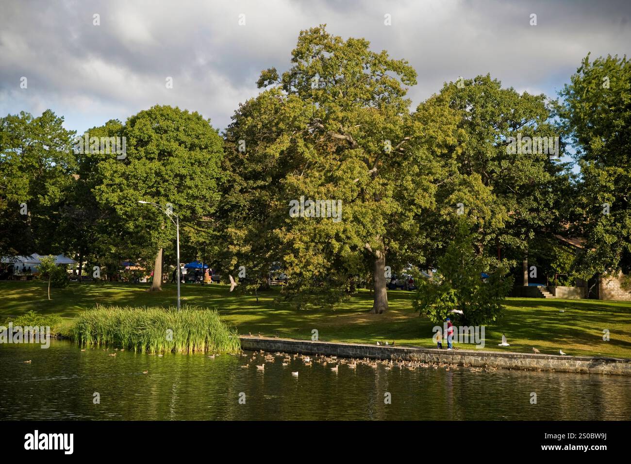 The duck pond at Deering Oaks Park in Portland, Maine Stock Photo - Alamy