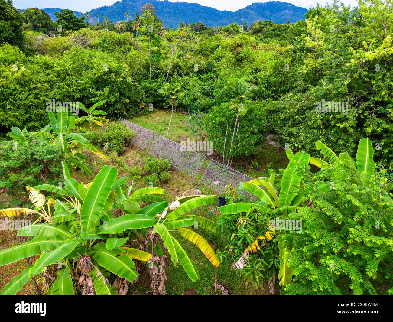 South Samui views with beach villas, in koh Samui, Thailand Stock Photo ...