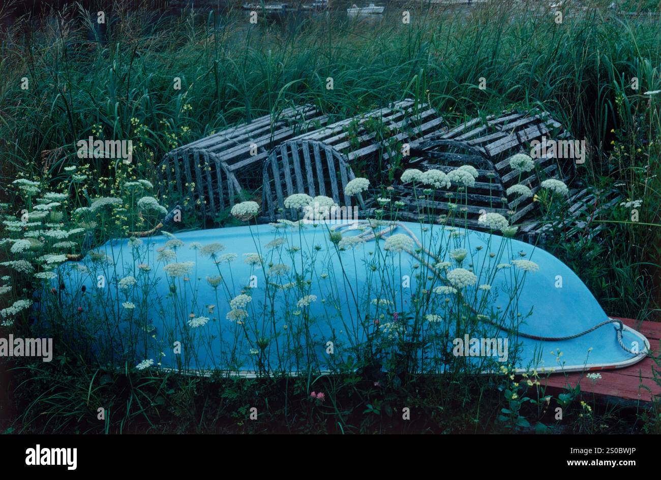 A small overturned skiff on beach in summer Stock Photo - Alamy