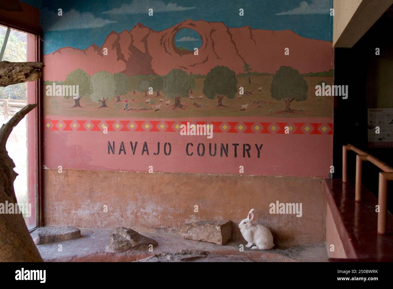 Navajo Tribal Zoo, Window Rock, Arizona Stock Photo - Alamy