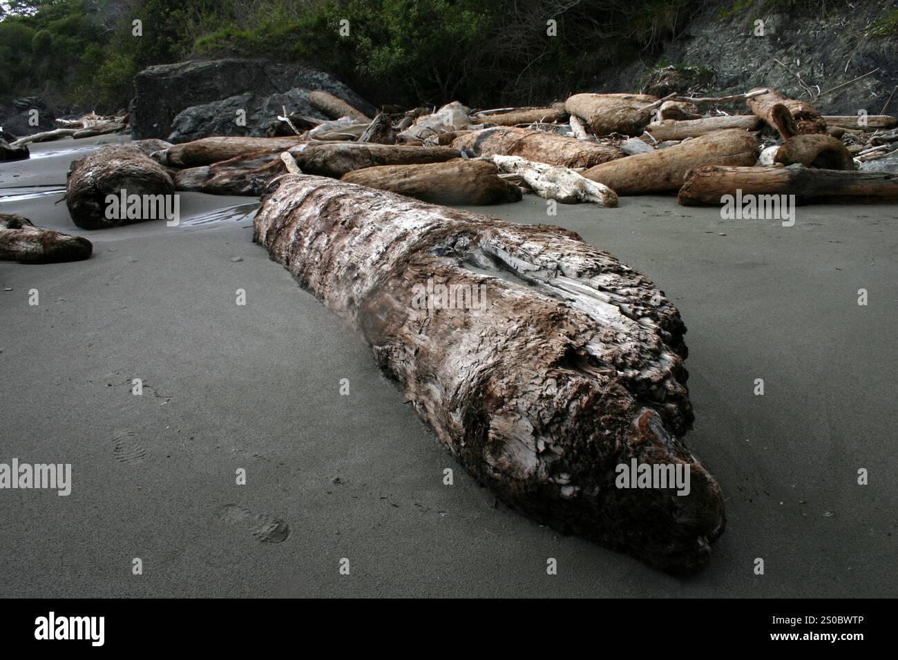 Trinidad State Beach, Trinidad, California Stock Photo - Alamy