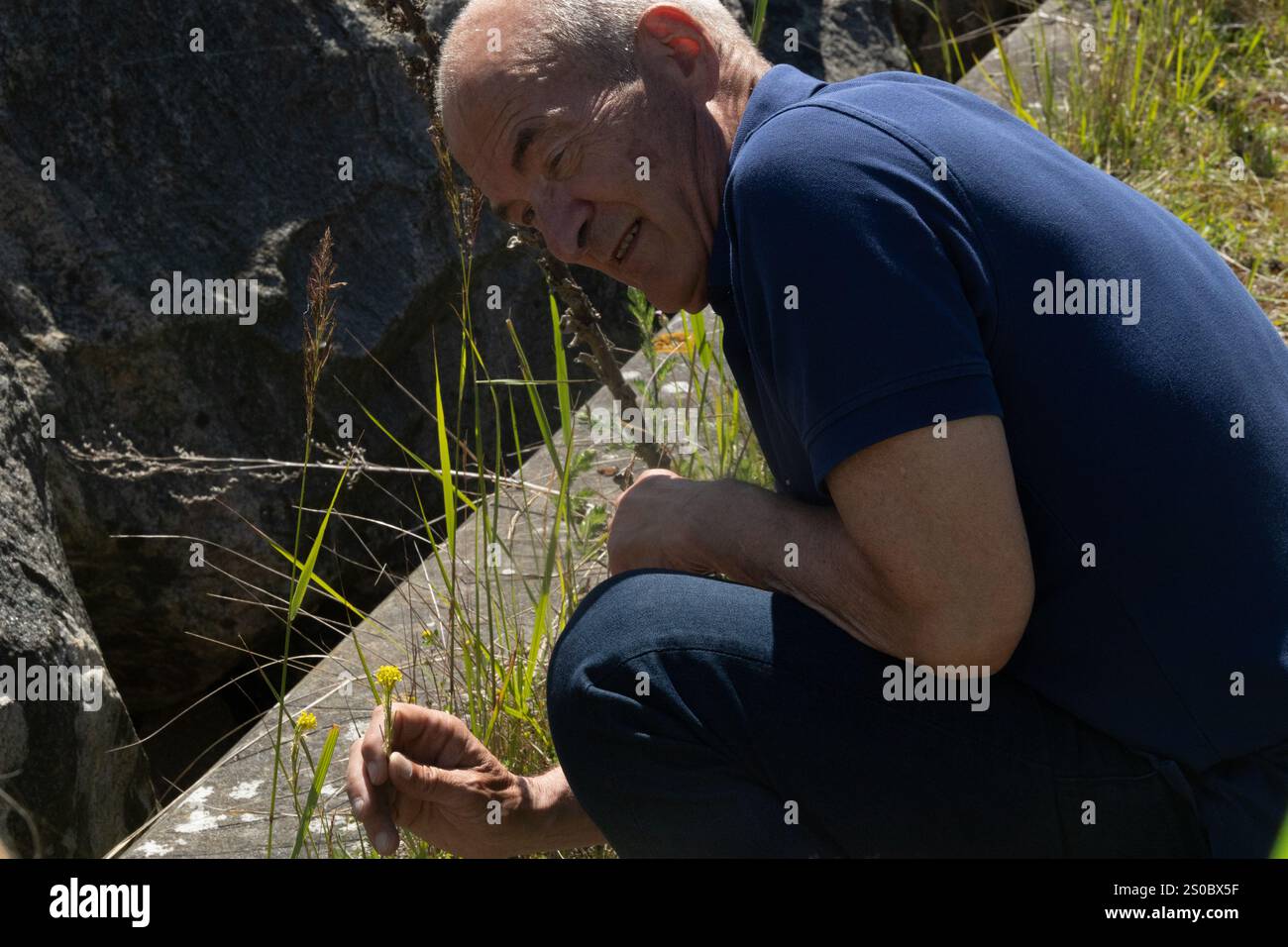 Marschallianum hi-res stock photography and images - Alamy