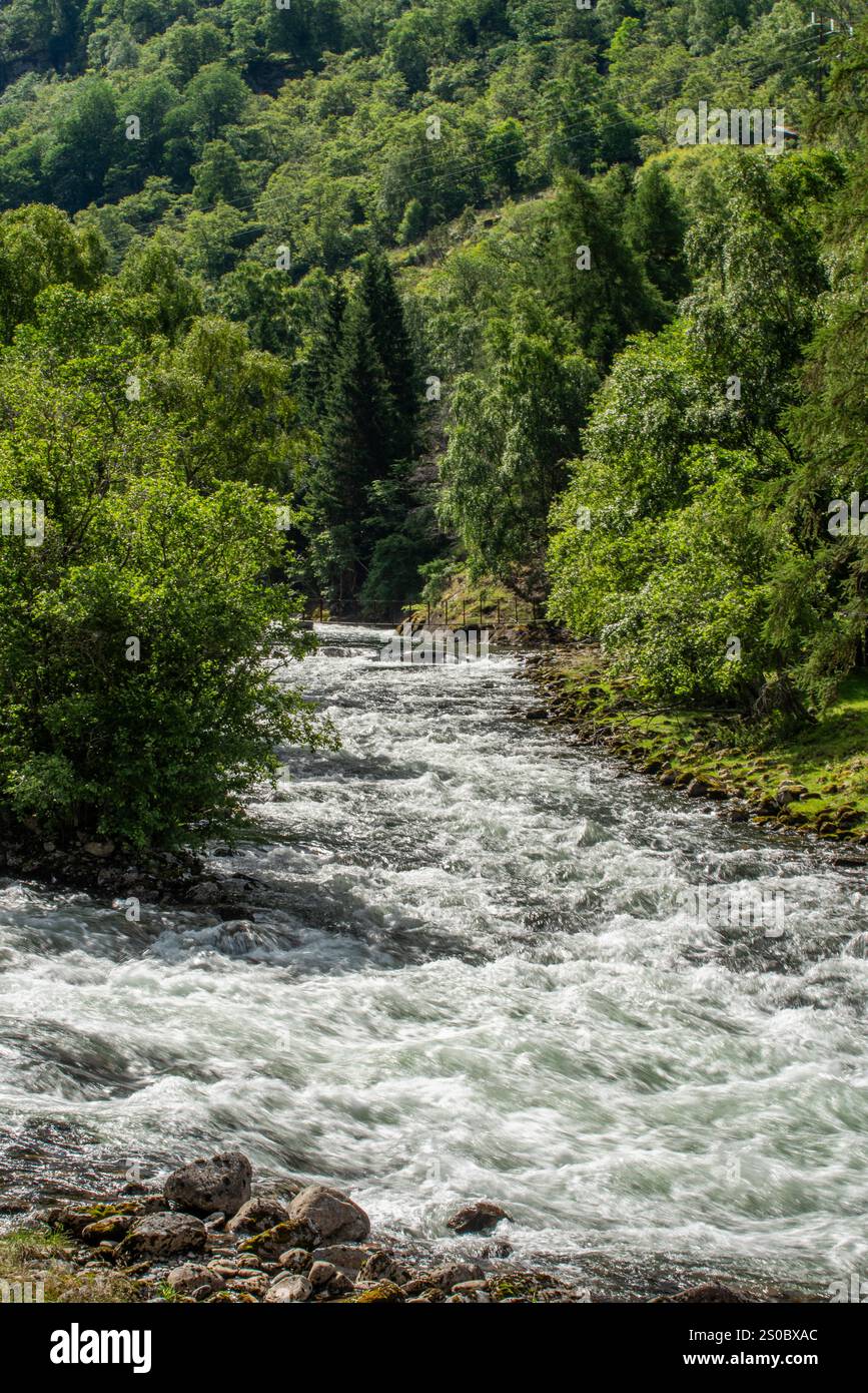 mountain river in the Norwegian fjords with waterfalls and white foam ...