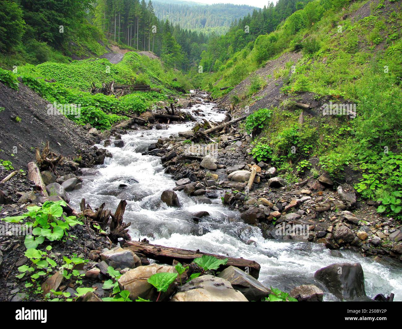 A crystal clear river flows calmly through a lively valley surrounded ...