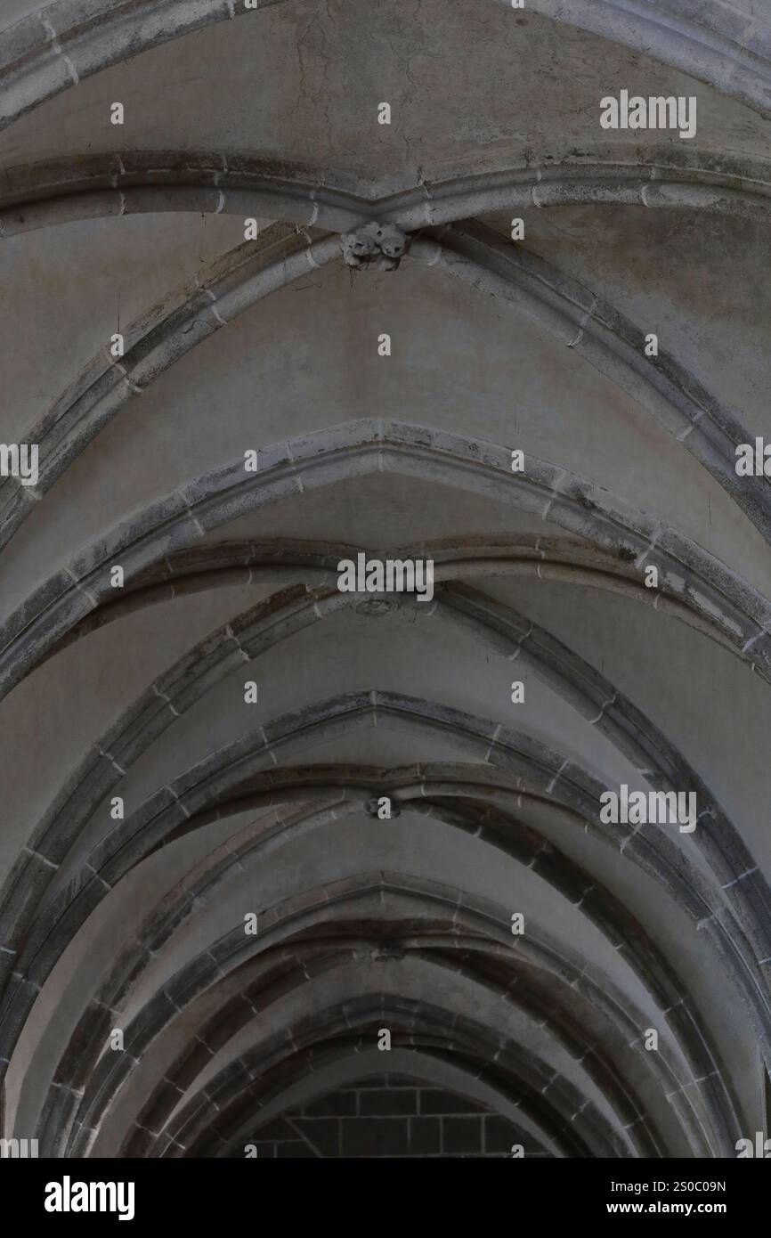 135 Gothic ribbed vault arcade covering the Knights Hall, possible ...