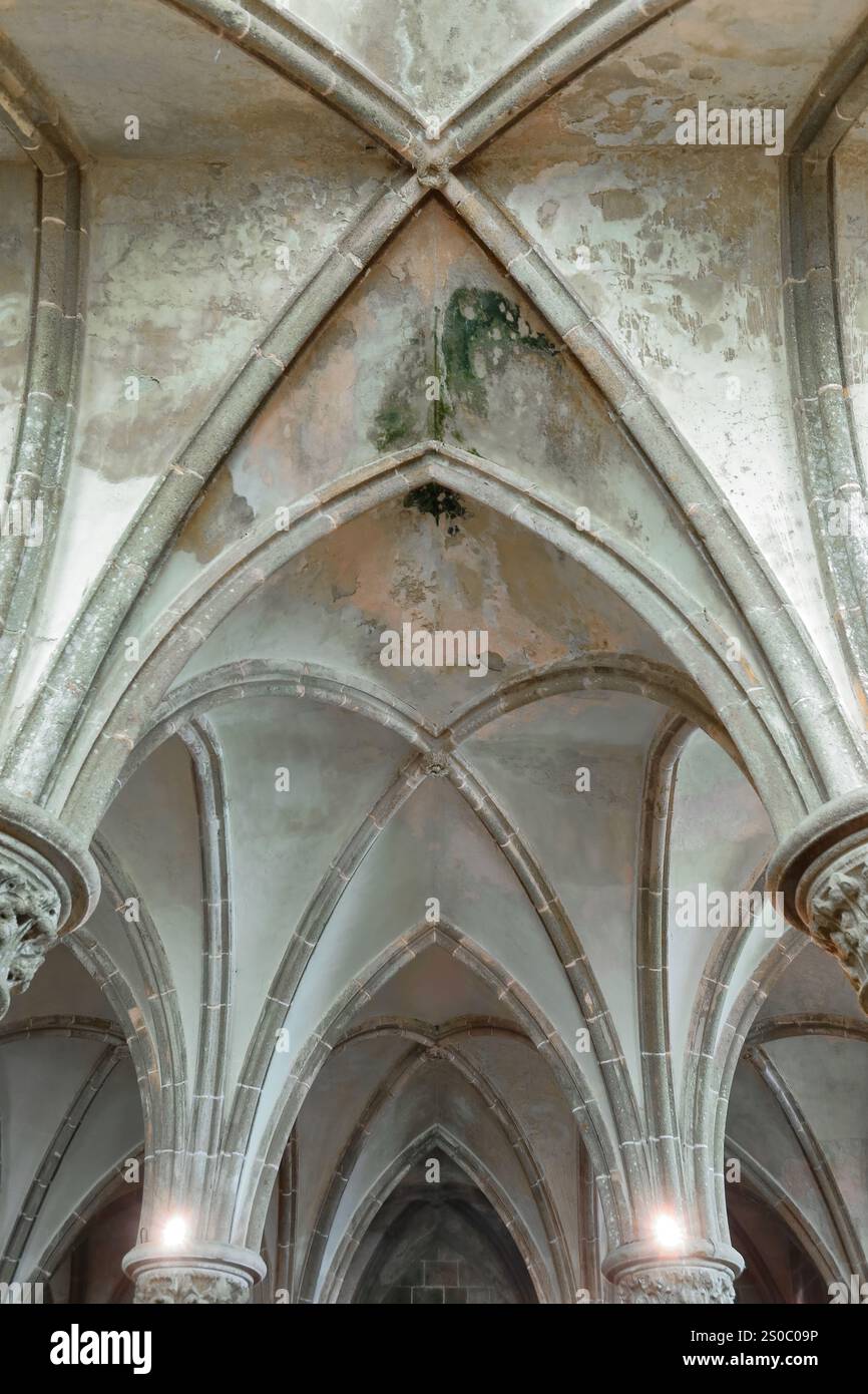 136 Gothic ribbed vault arcade covering the Knights Hall, possible ...