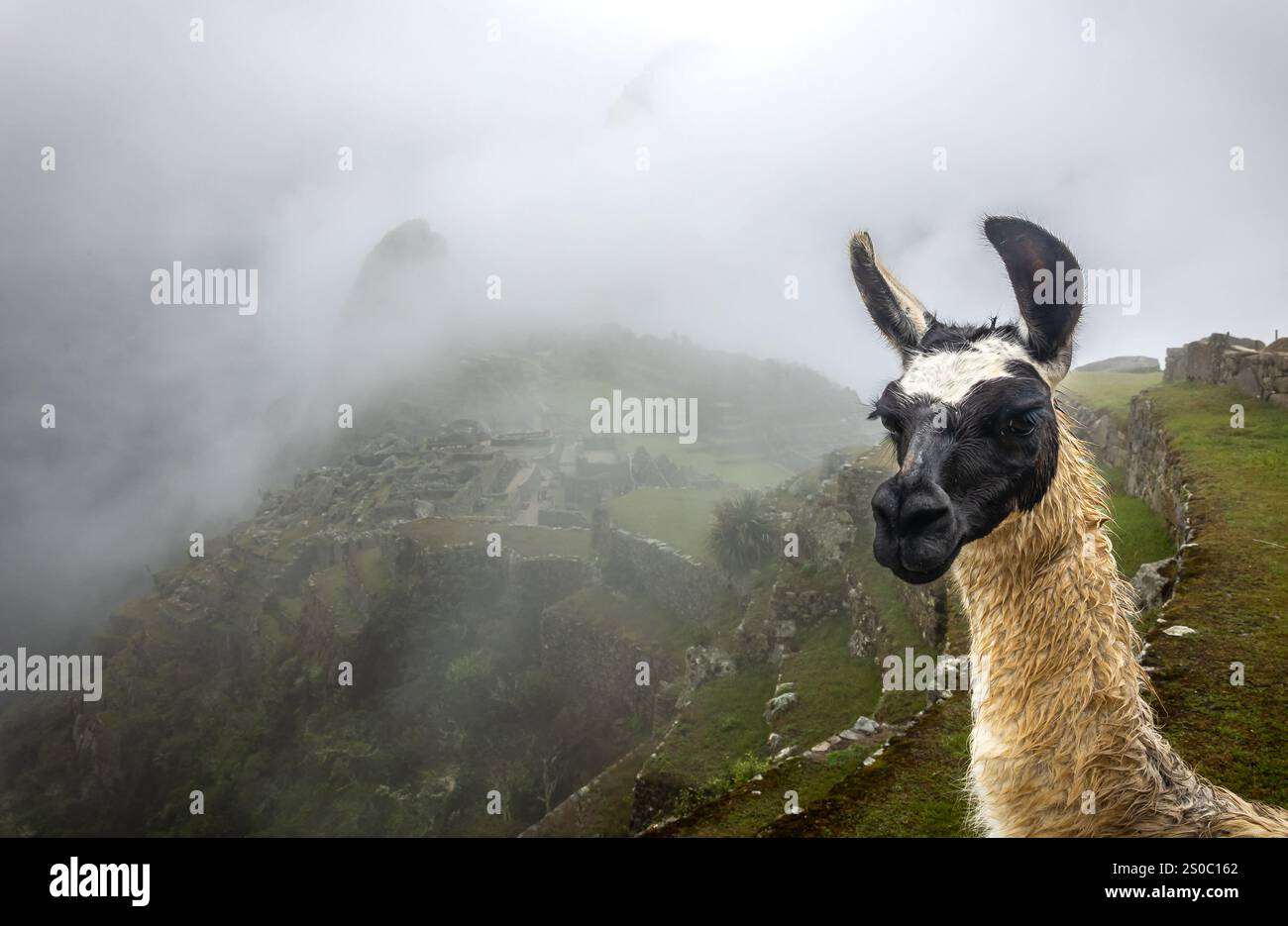 This photo is taken during a very raining and misty morning ad the sun ...