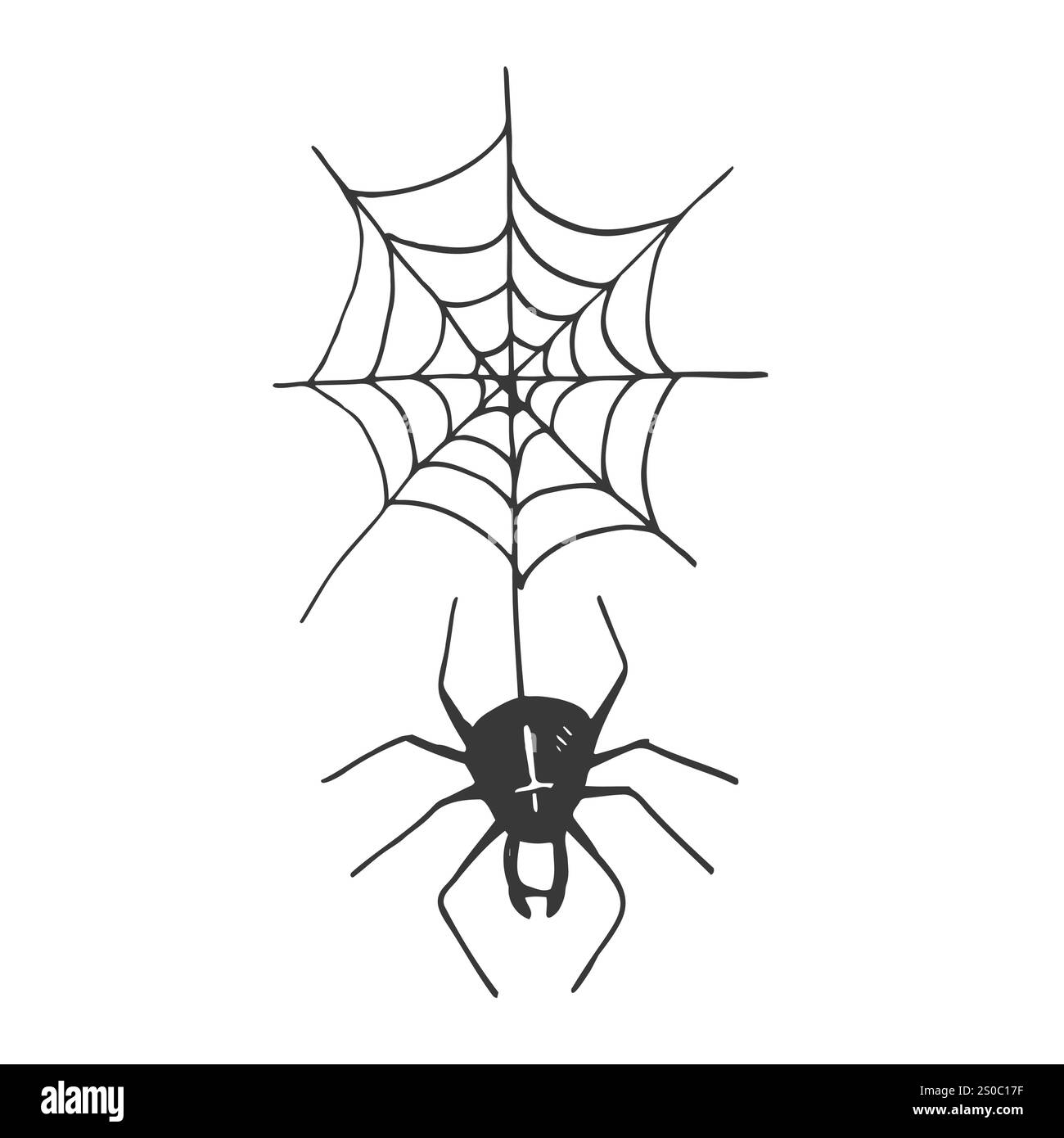 Spider web line hand Cut Out Stock Images & Pictures - Alamy