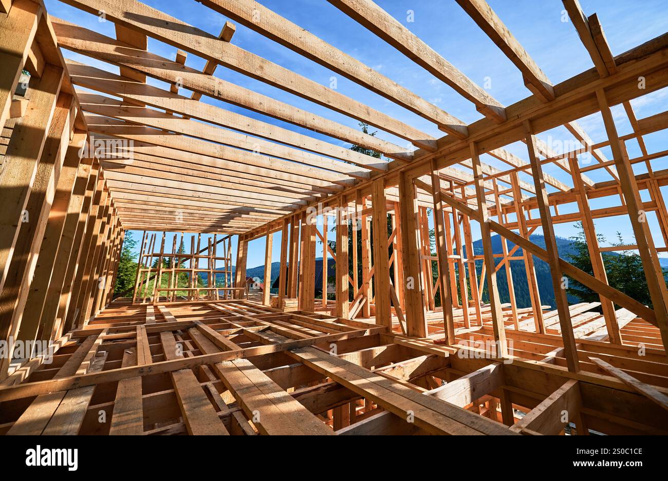 Residential wooden frame building in progress near a forest. Start of ...