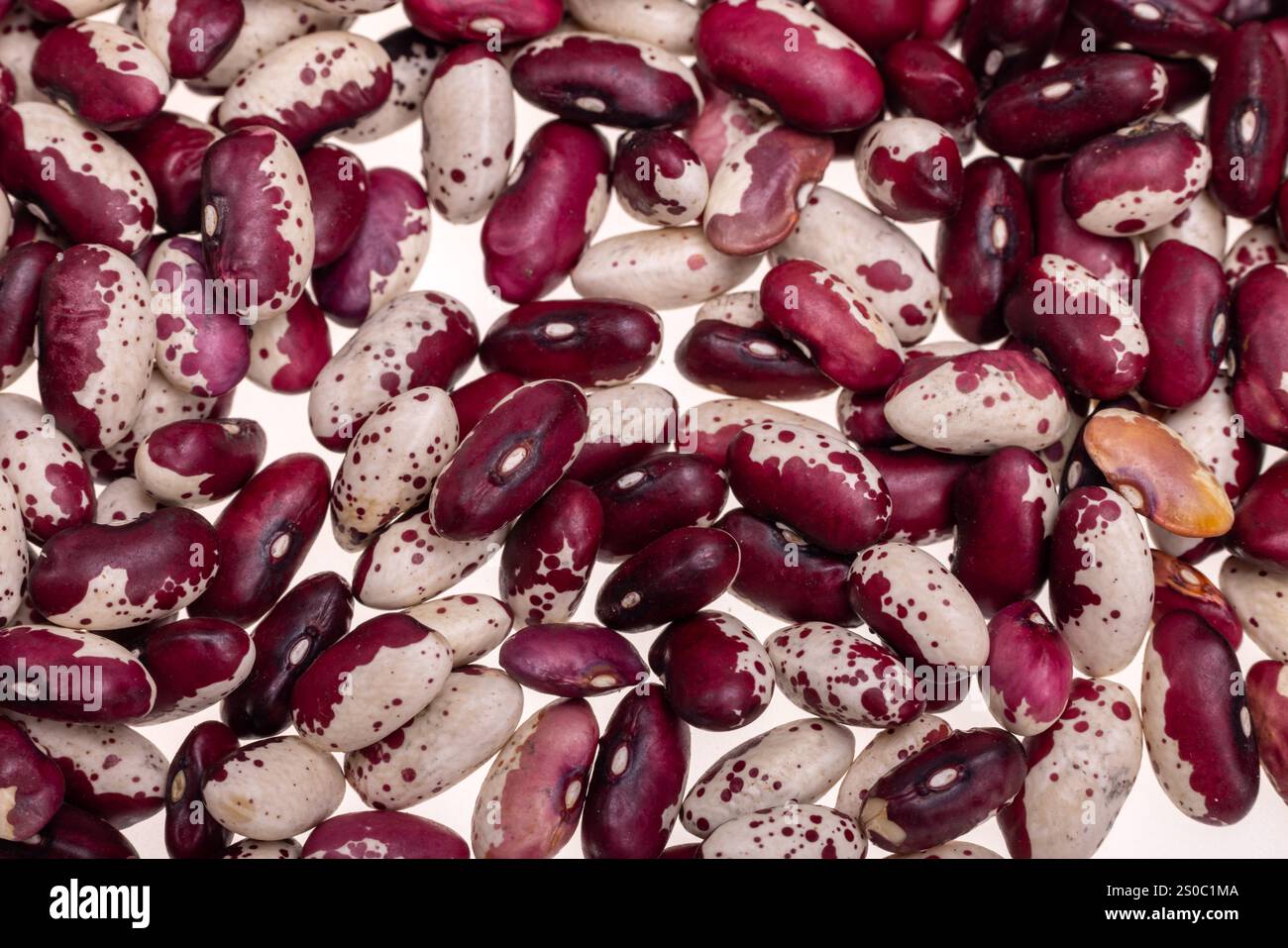 raw red with white speckled kidney beans Stock Photo - Alamy