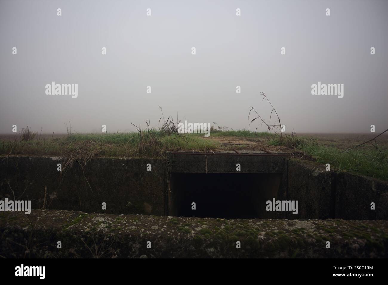 Irrigation ditch and weir in a ploughed field on a foggy day in the ...