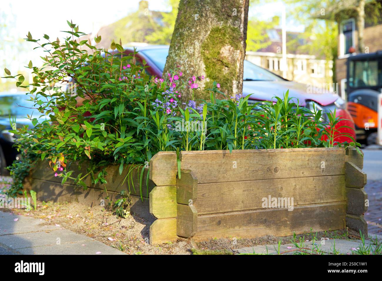 Tree pit garden for urban greening and climate adaptation. Small garden ...