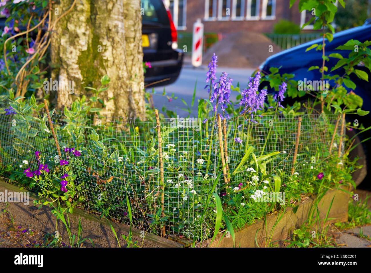 Tree pit garden for urban greening and climate adaptation. Small garden ...