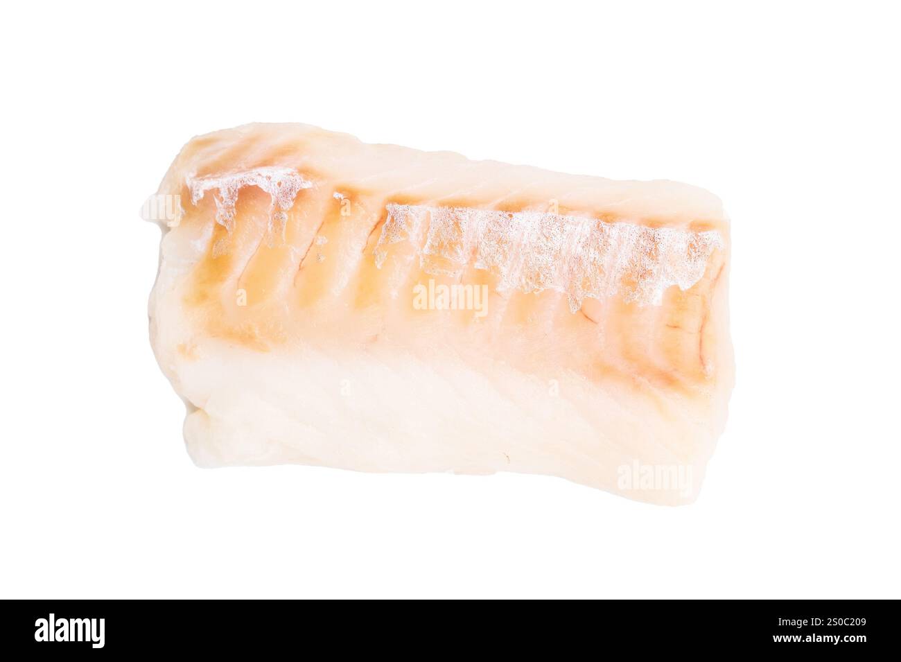 Raw cod fish fillet, ready for cooking Boneless white fish meat ...