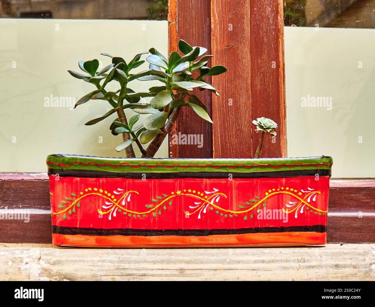 Succulents in colourful pots on the windowsill of a house in Malta ...