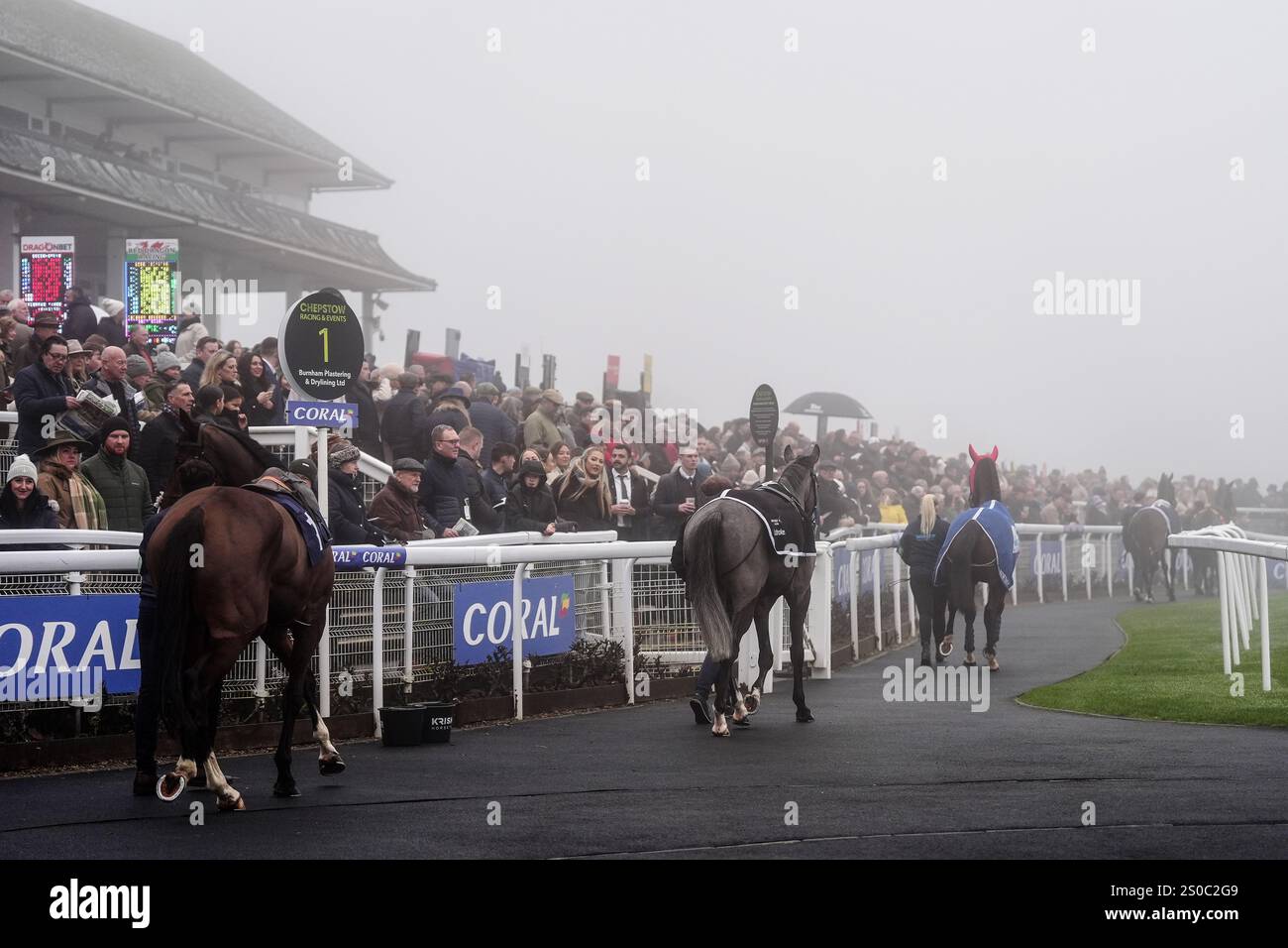 Horses in the parade ring as heavy fog surrounds the course during The ...