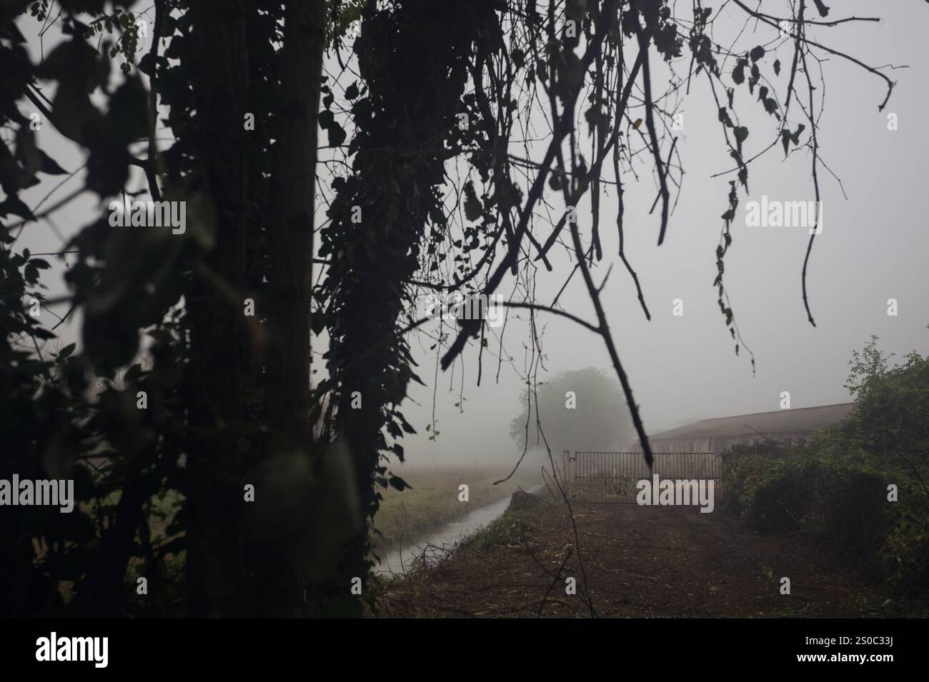 Dirt entrance path to a barn of a country house next to a stream of ...