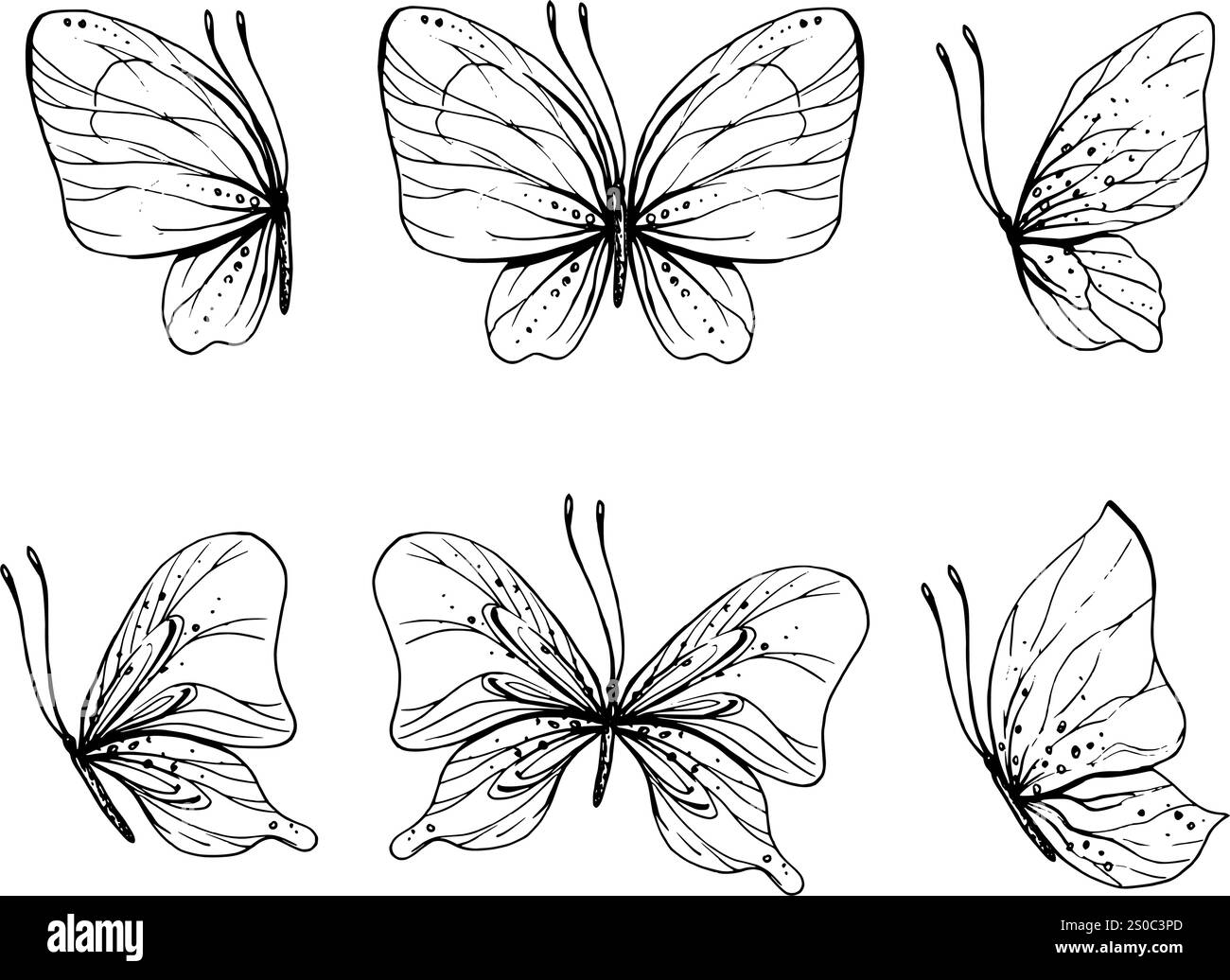 Butterflies flying, delicate line art, clip art. Graphic illustration ...