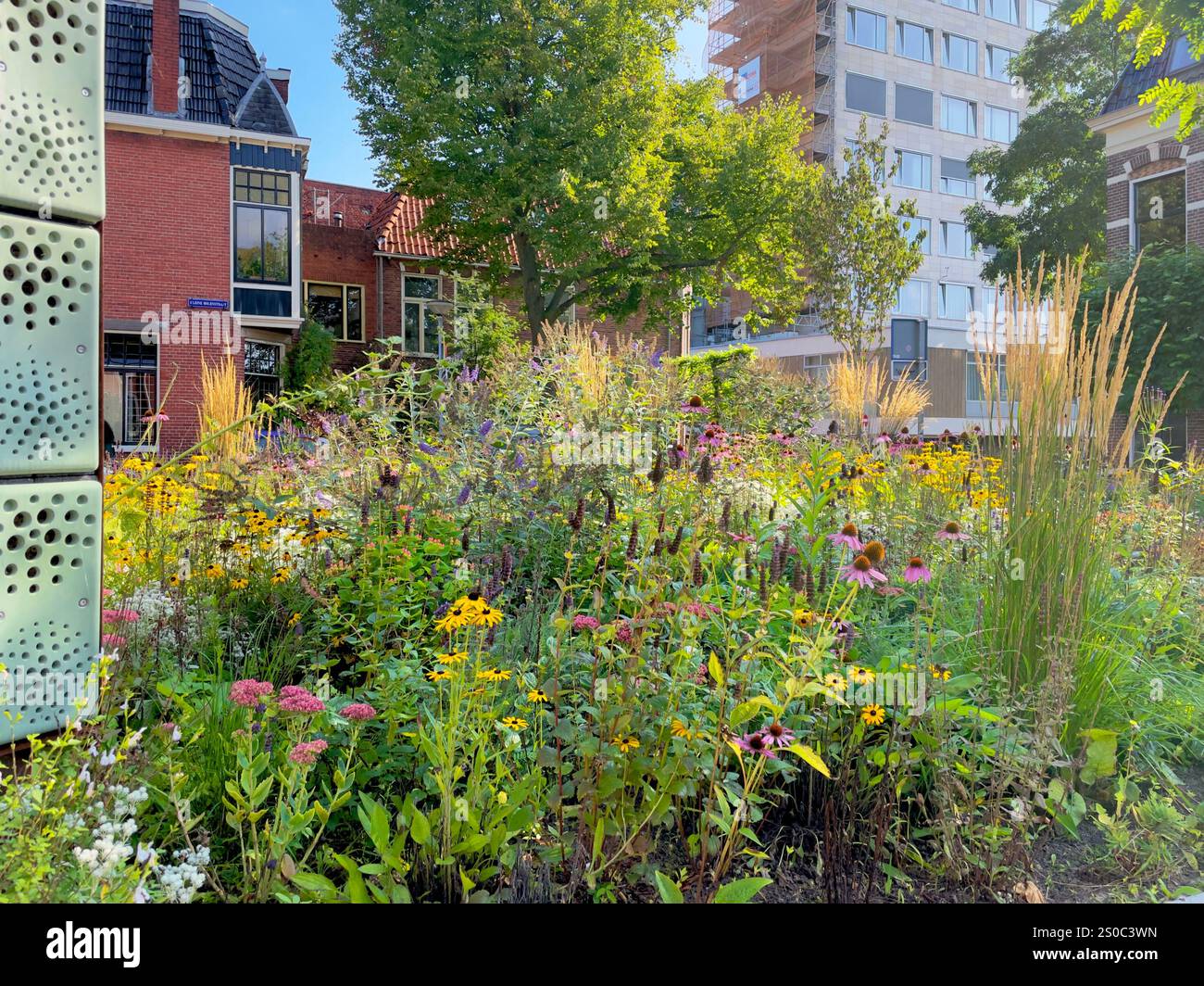 Urban green oasis for climate adaptation and biodiversity, city ...