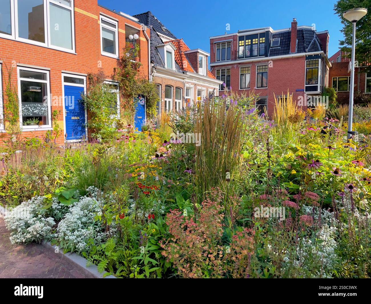 Urban green oasis for climate adaptation and biodiversity, city ...