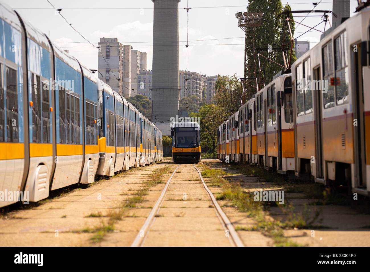 Trolley cars in a tram depot Stock Photo - Alamy