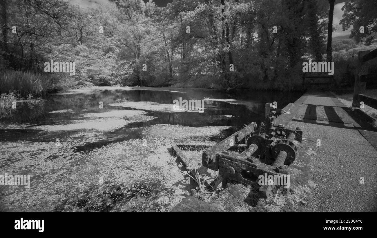 Fontwell Magna, UK - June 5, 2024: Pond at Springhead, Fontwell Magna ...