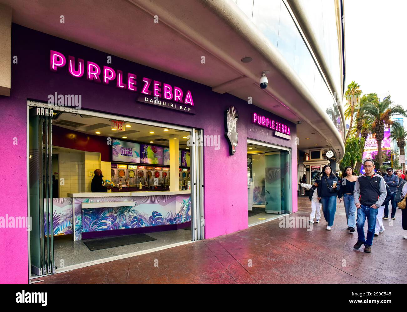 Purple zebra bar hi-res stock photography and images - Alamy